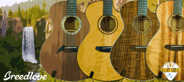 Breedlove In-Store Clinic