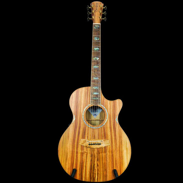 Cole Clark Angel 3 Series EC All Camphor Laurel Acoustic Electric ...