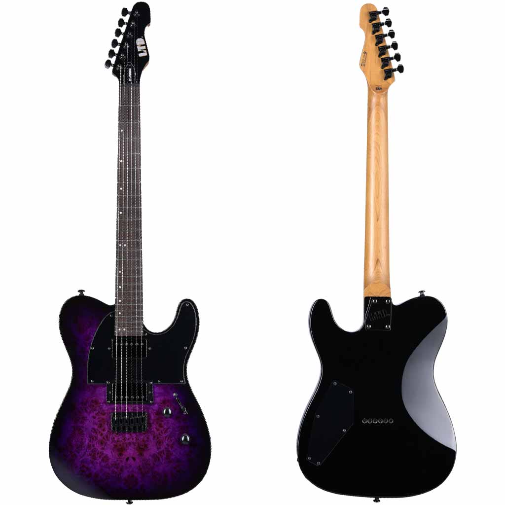 ESP LTD TE-200DX Electric Guitar - Purple Burst ESP Electric Guitar LTD ...