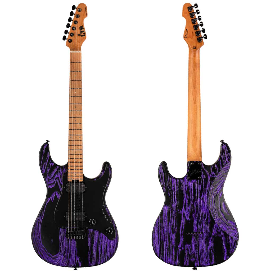 ESP LTD SN-1000HT Electric Guitar - Purple Blast ESP Electric Guitar ...